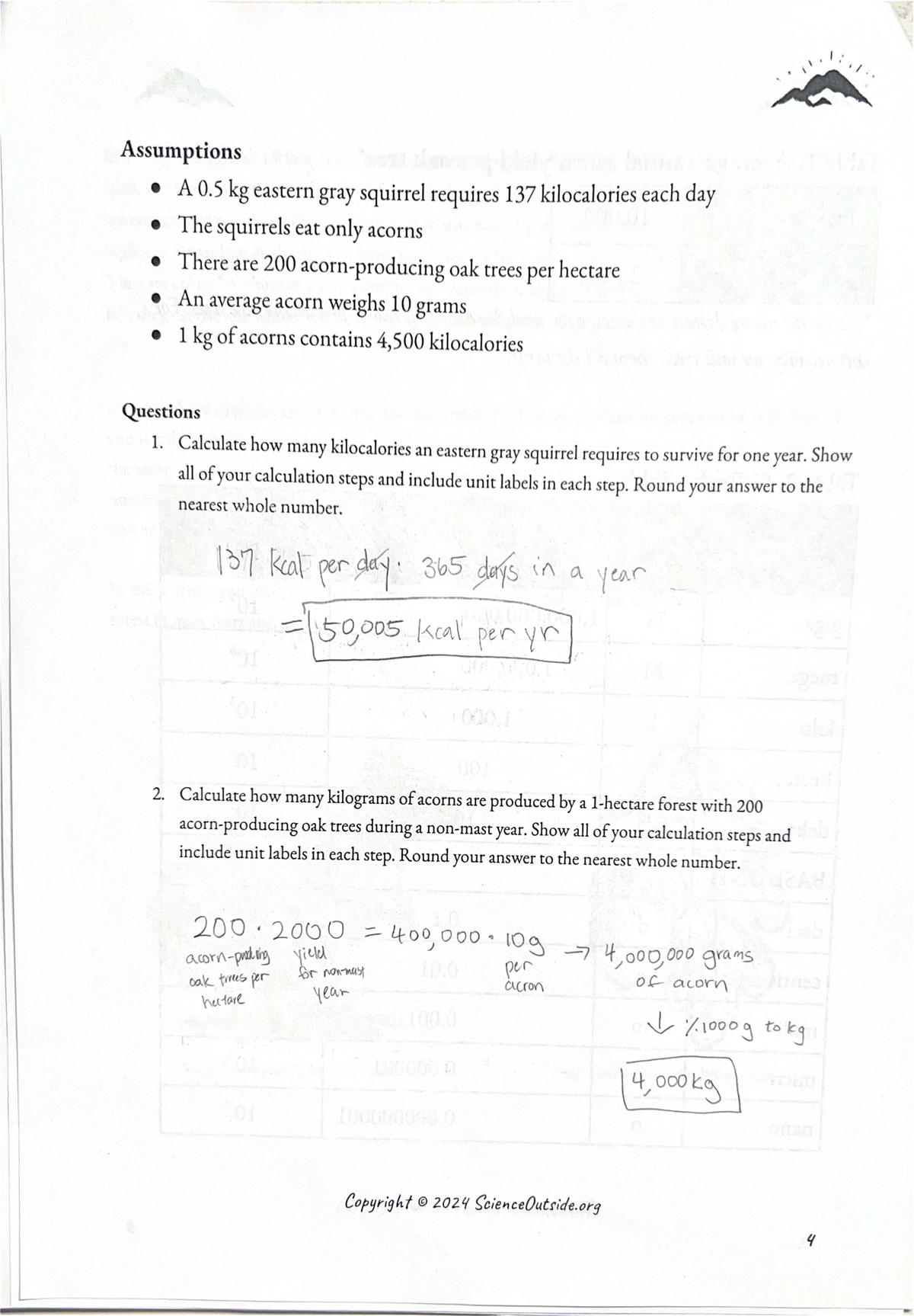Carrying Capacity Worksheet: Eastern Gray Squirrel Analysis - Studocu