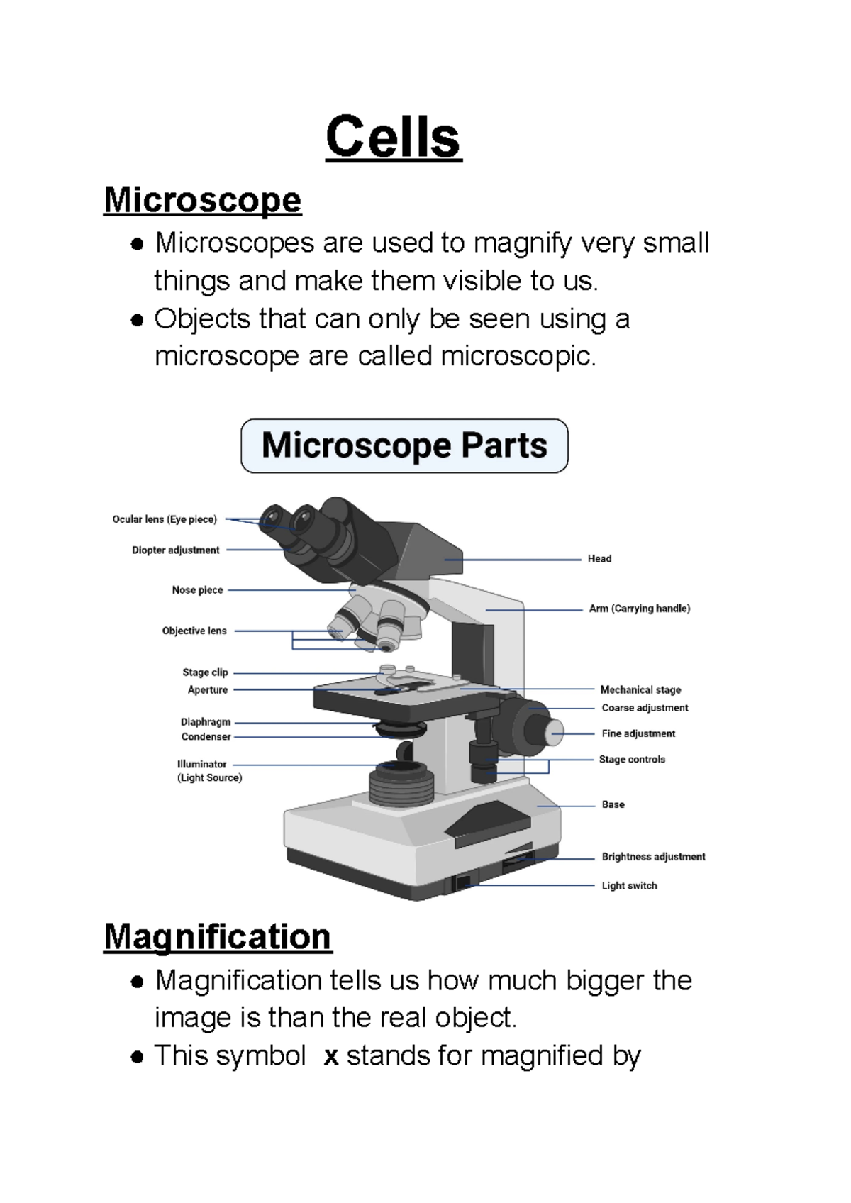Cells and Microscopes Cheat Sheet for Biology 101 - Studocu