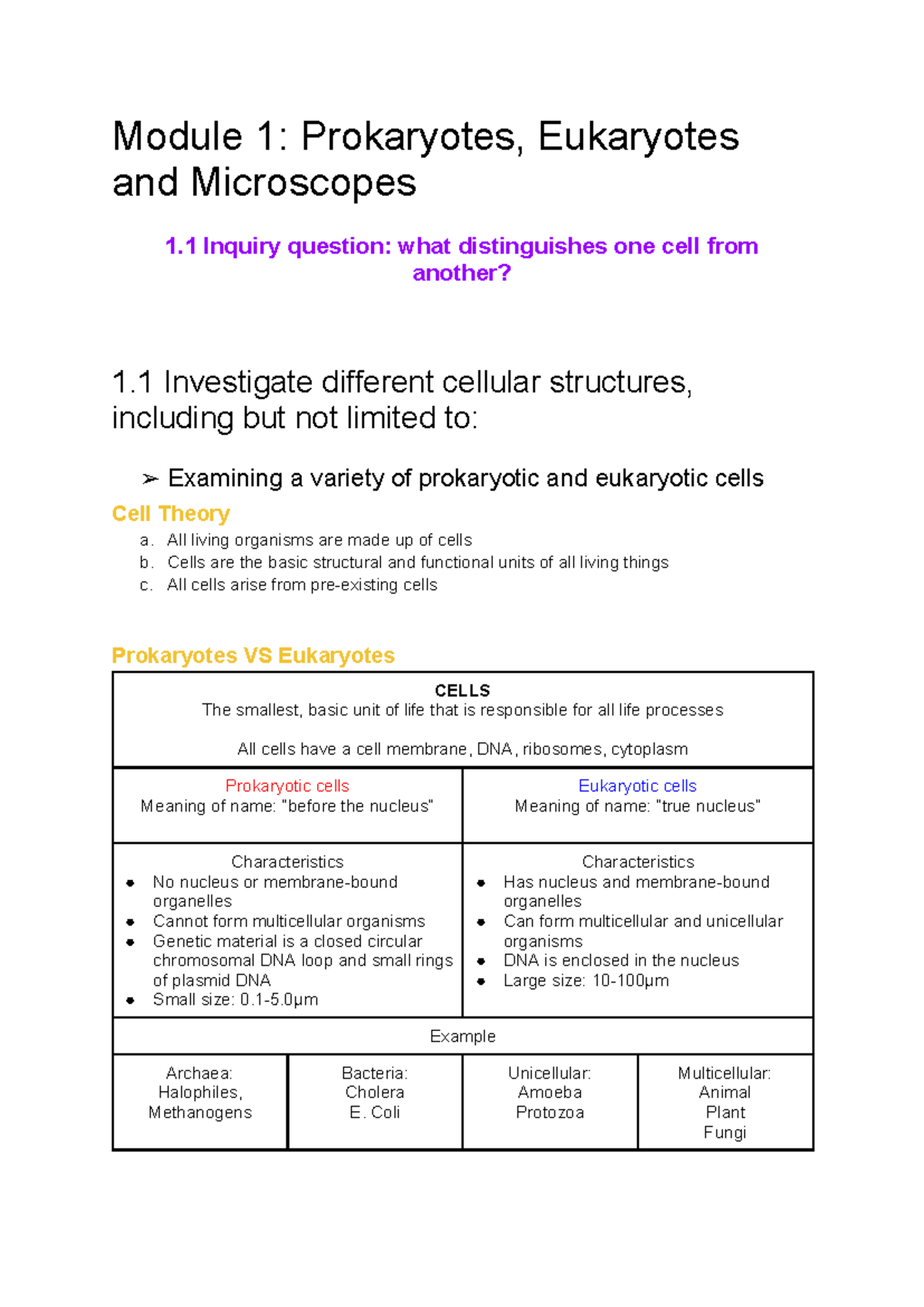 Yr11 Biology Module 1: Prokaryotes, Eukaryotes & Microscopes Notes ...