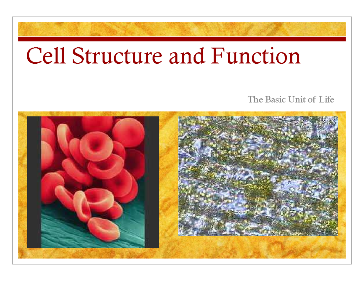 Cell Structure and Function Study Guide for Exam Prep - Studocu