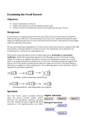 Capillaria philippinensis (Pudoc worm) - Capillaria philippinensis ...