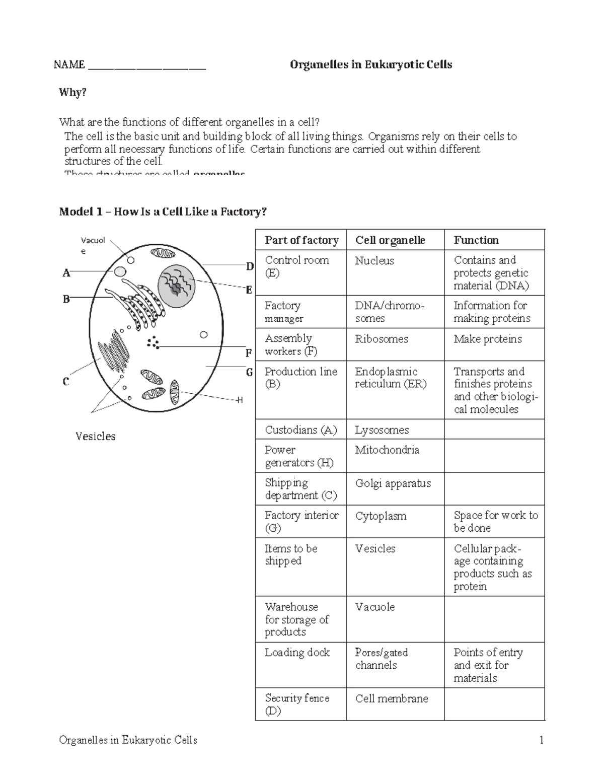 8 Eukaryotic Cell Organelles - Biology Study Guide (BIO101) - Studocu