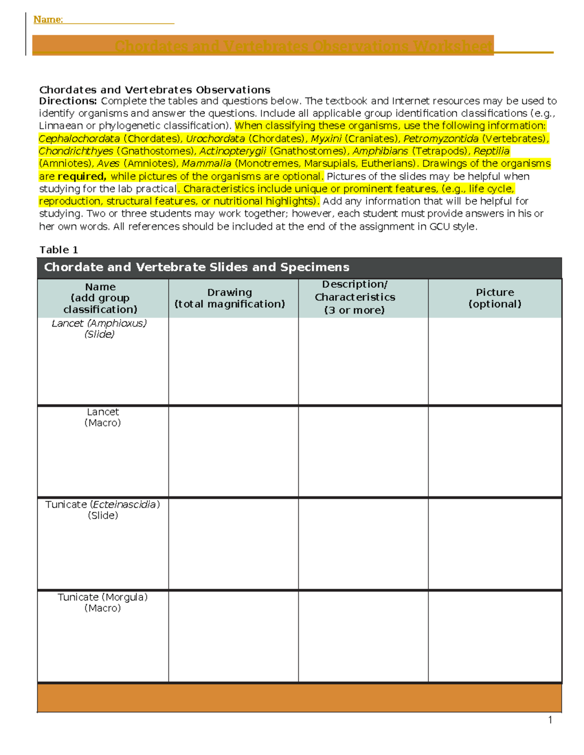 Bio182-08.01 - Chordates & Vertebrates Observations Worksheet - Studocu