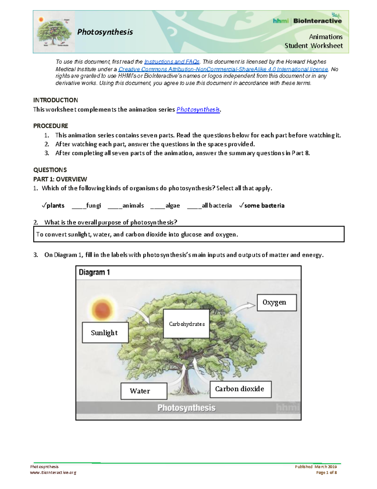 Photosynthesis Student WS: Interactive Guide to Key Concepts - Studocu