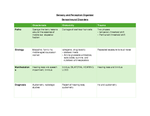 Patho Concept Map Template with Instructions - Pathophysiology Concept ...