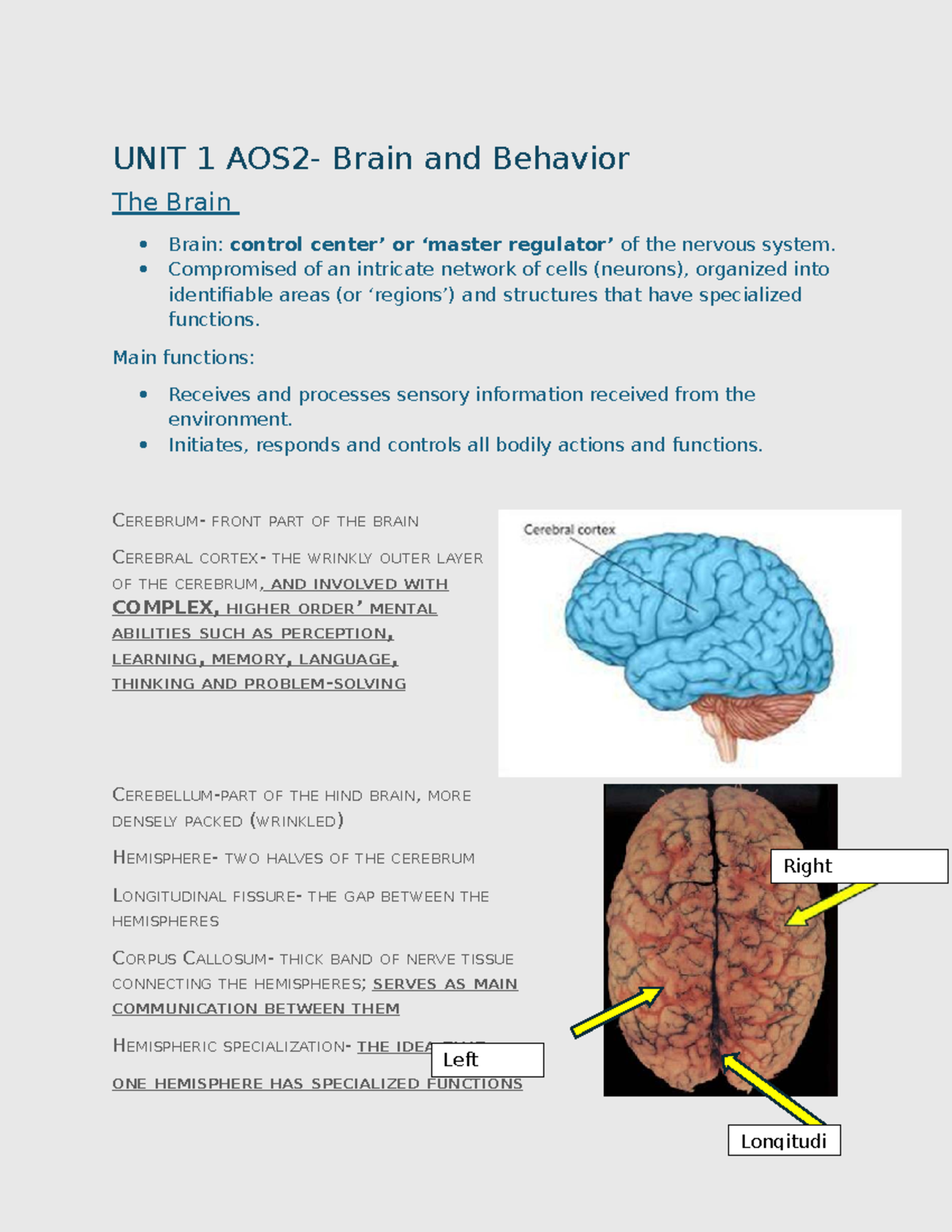 UNIT 1 AOS2 - unit 1 aos2 notes - UNIT 1 AOS2- Brain and Behavior The ...