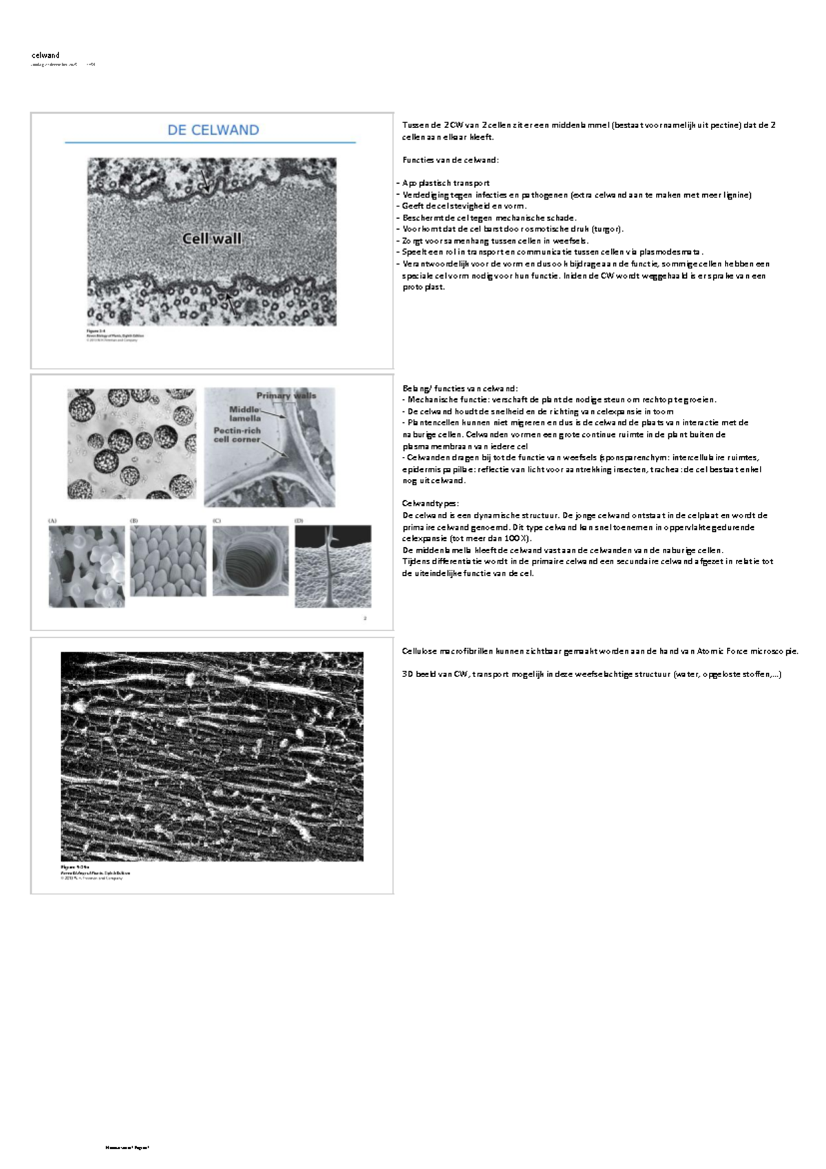 Celwand Functies en Structuur - Notities Plantencellen (Biologie 101 ...