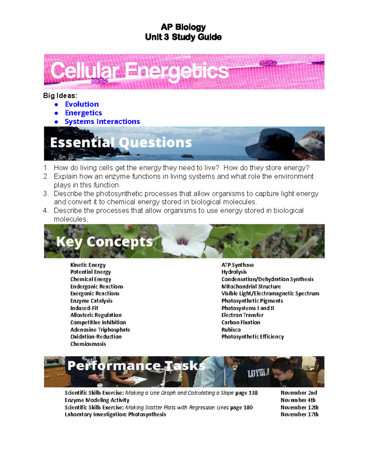 AP Biology Unit 3 Study Guide: Evolution, Energetics & Systems - Studocu