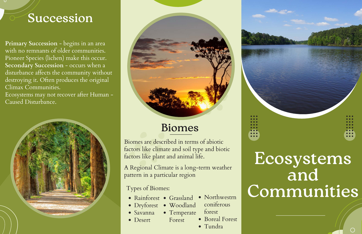 Ecosystems and Communities: Understanding Succession and Biomes - Studocu