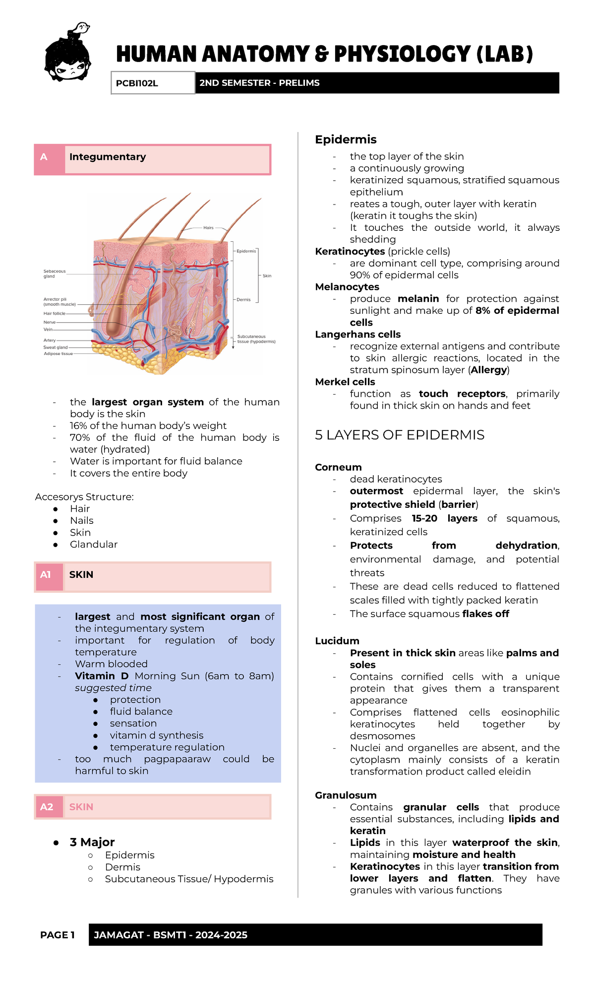[ Midterm] Anaphy LAB - Human Anatomy & Physiology (LAB) 2nd Sem - A ...