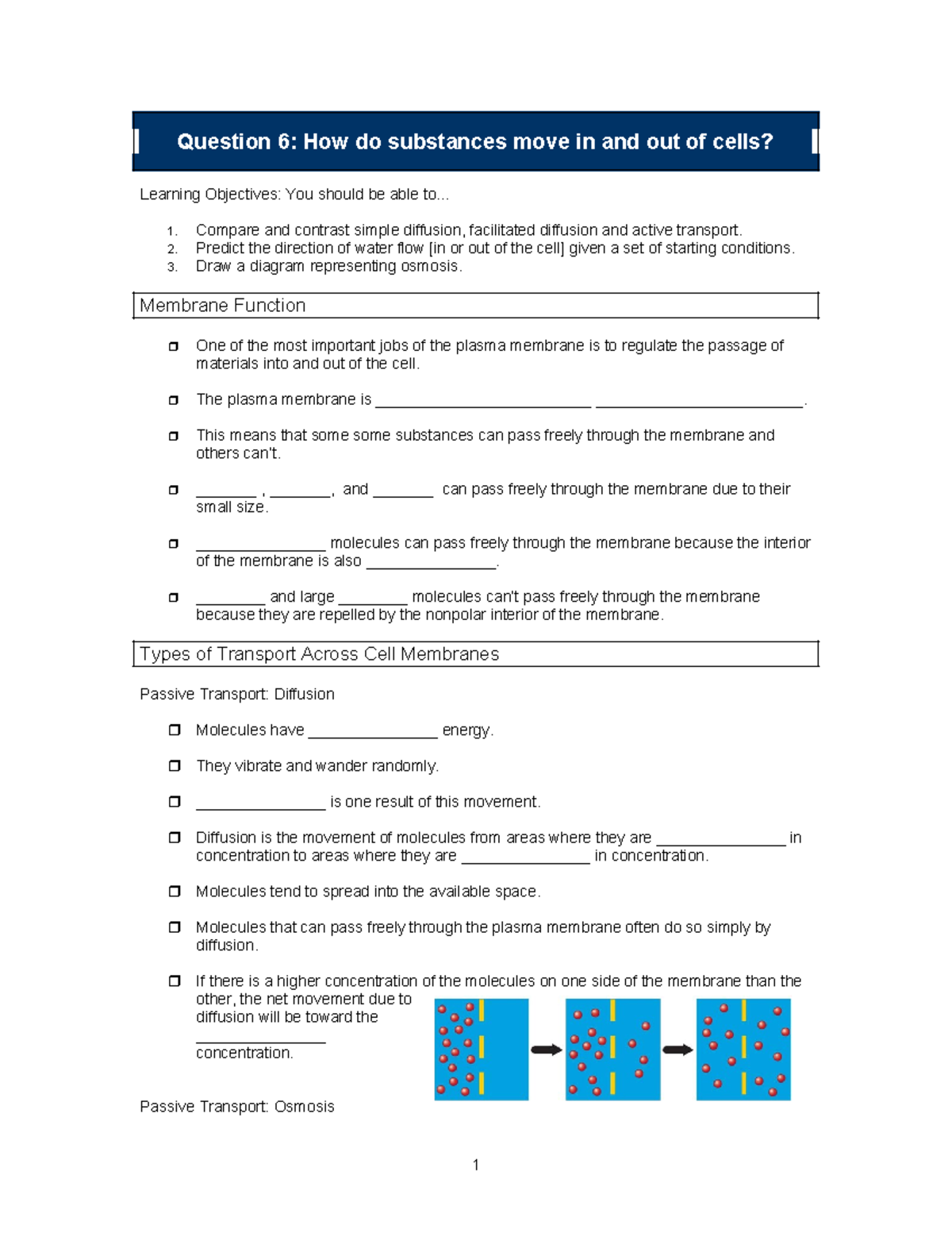 Notes Guide 6 - Cell Transport & Energy: Movement of Substances - Studocu