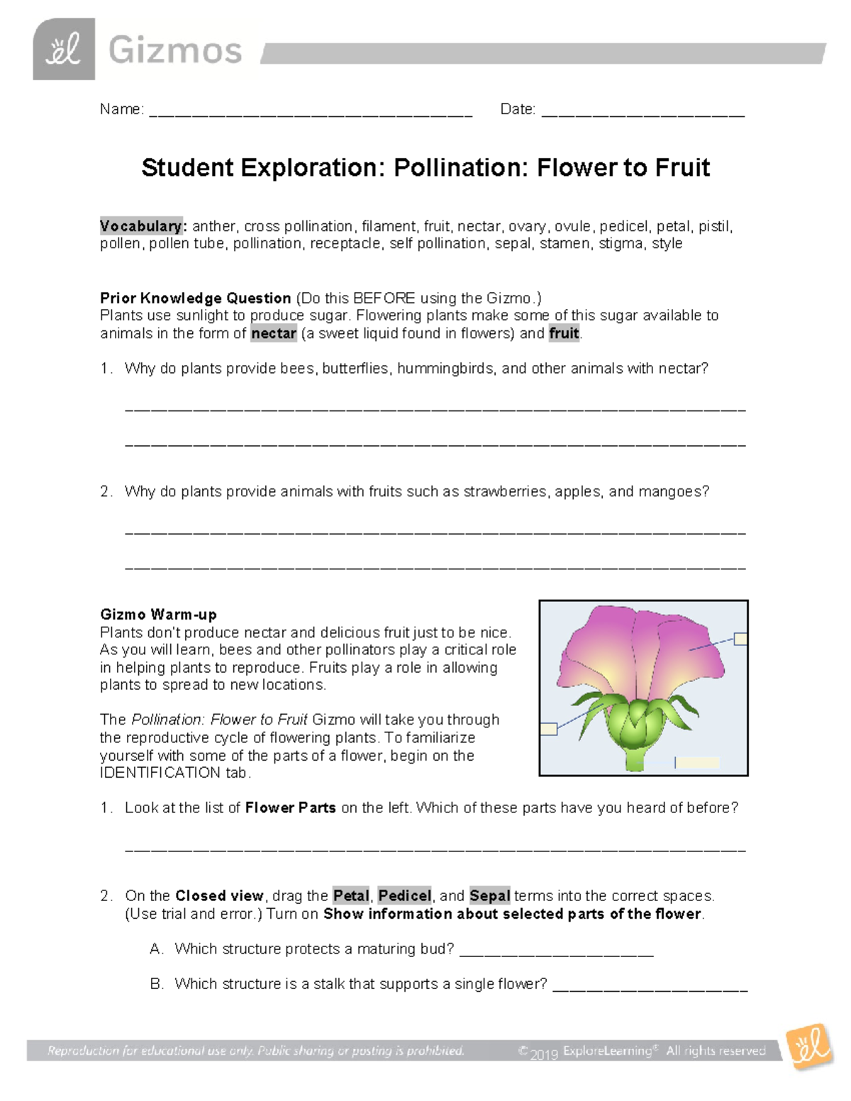 Pollination: Flower to Fruit – SE 2 Exploration Guide - Studocu