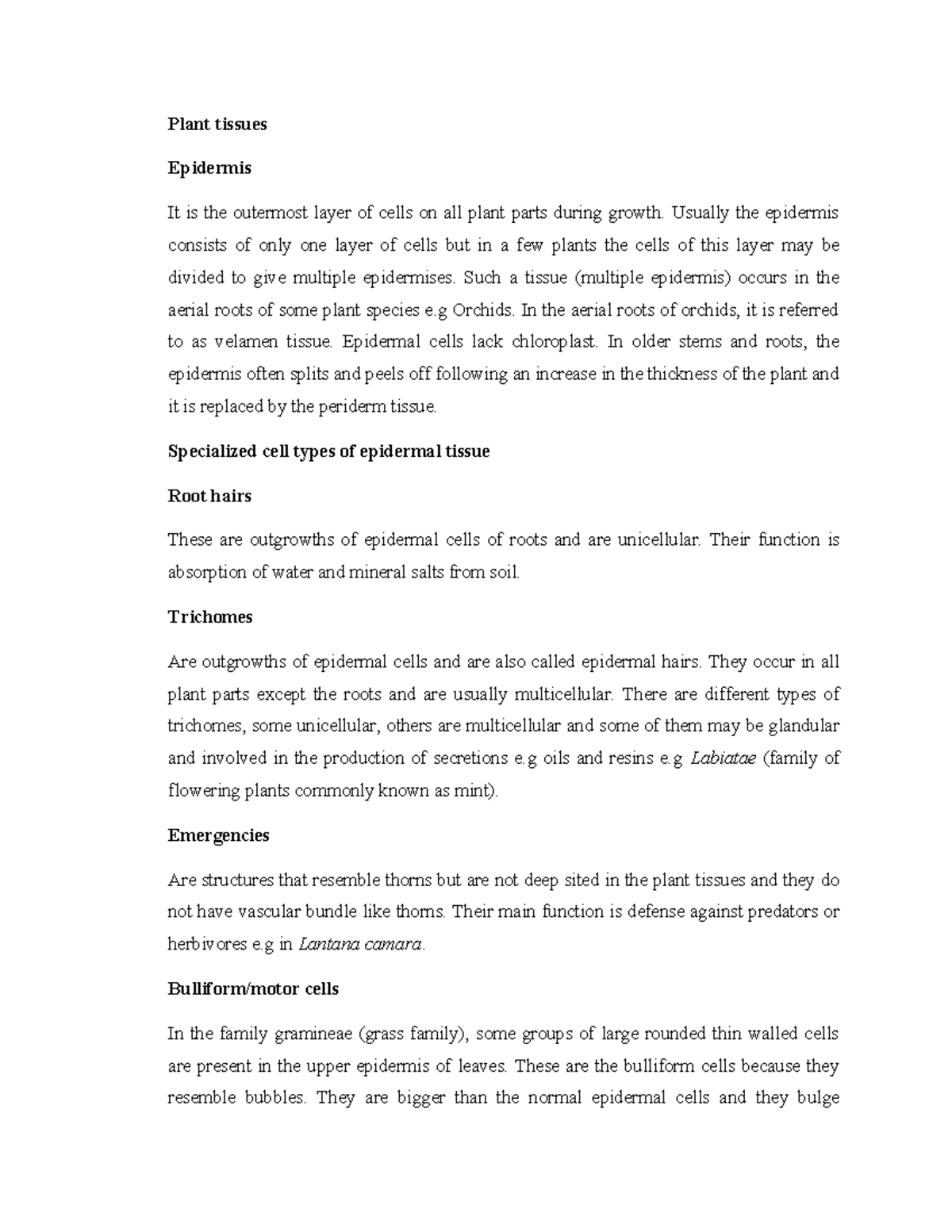 Plant Tissues: Structure and Functions of Epidermis and Meristems - Studocu