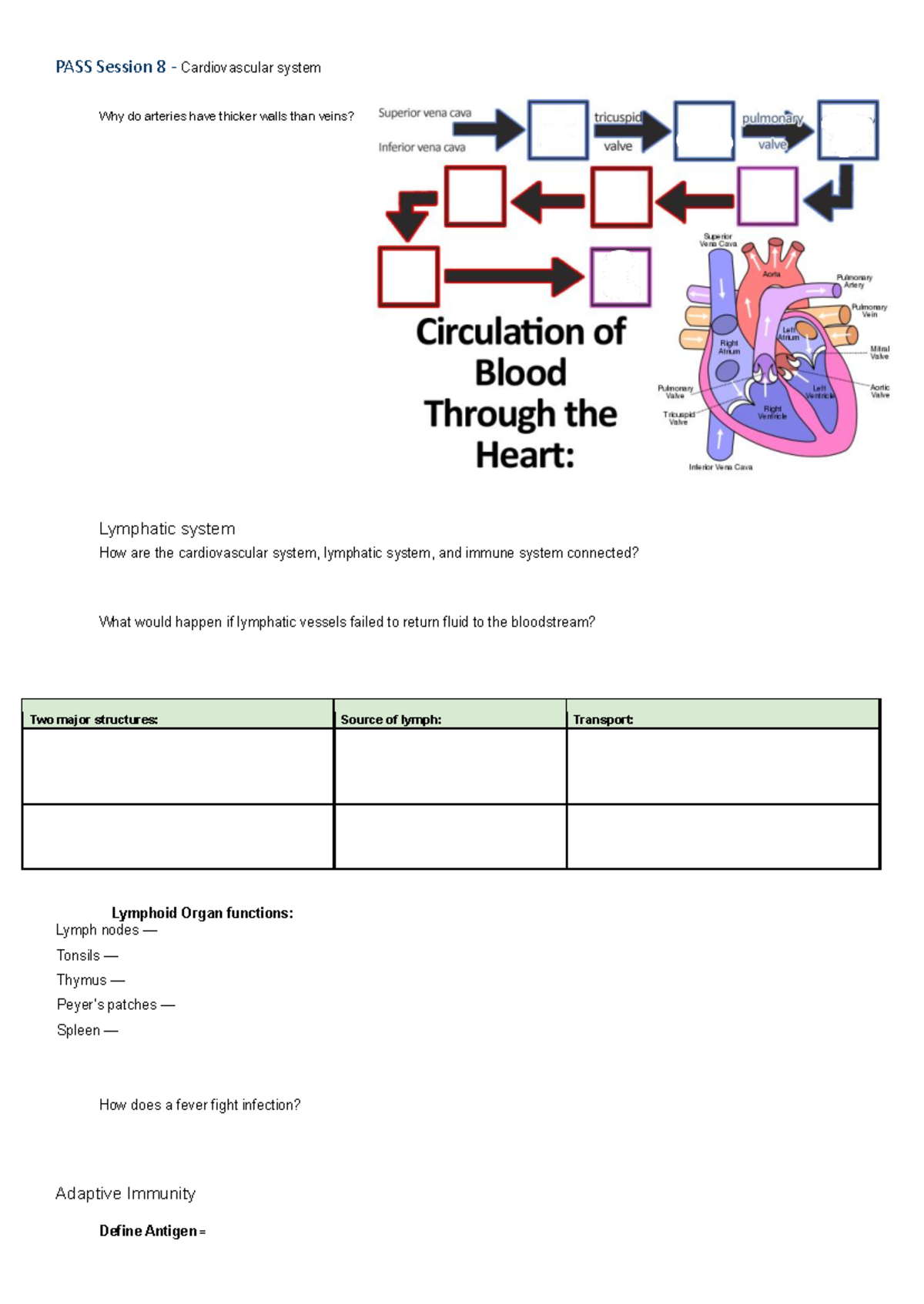 PASS 1401 Session 8: Cardiovascular & Lymphatic Systems Overview - Studocu
