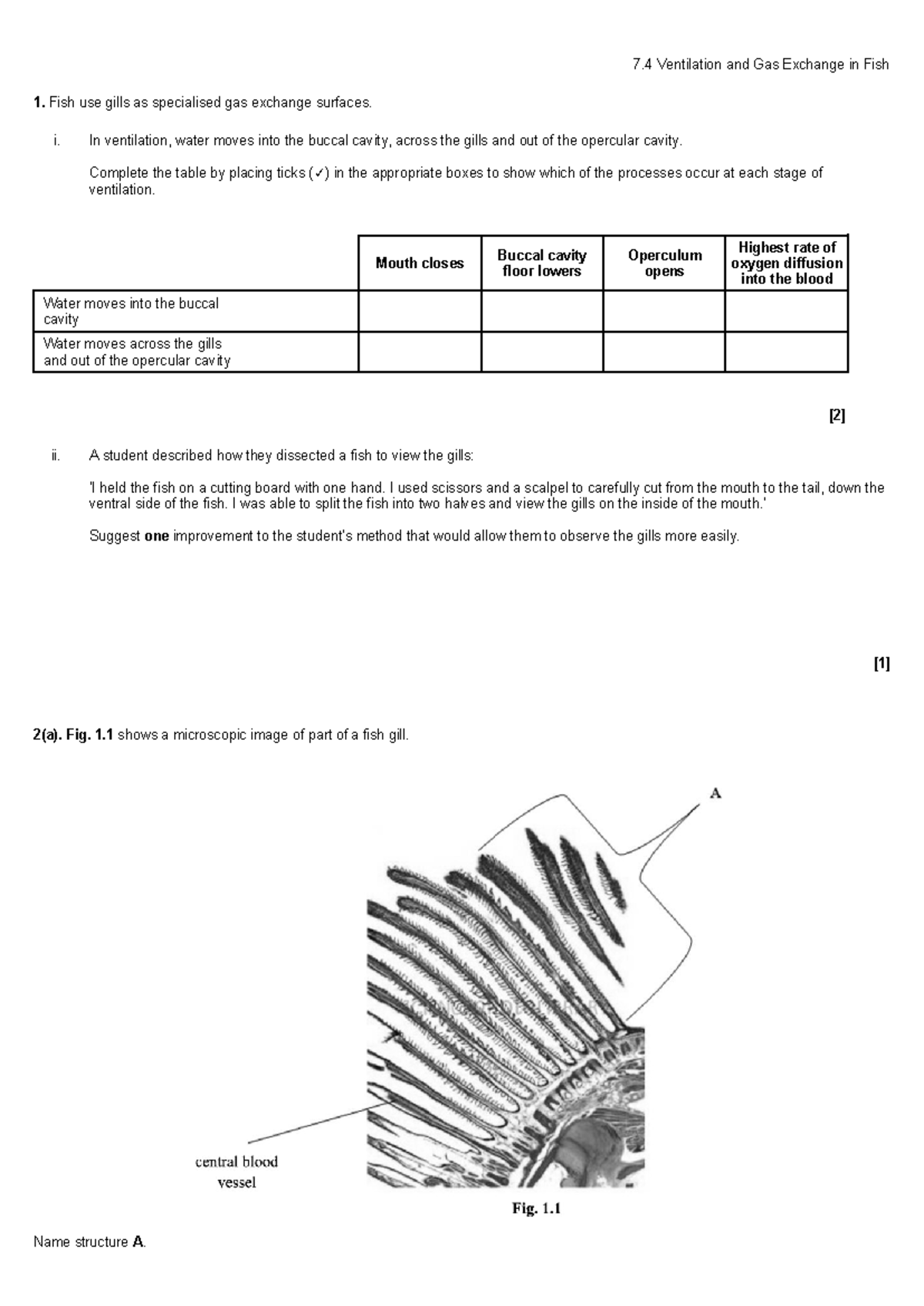 7.3 Final Exam Questions on Ventilation & Gas Exchange (Fish Gills ...