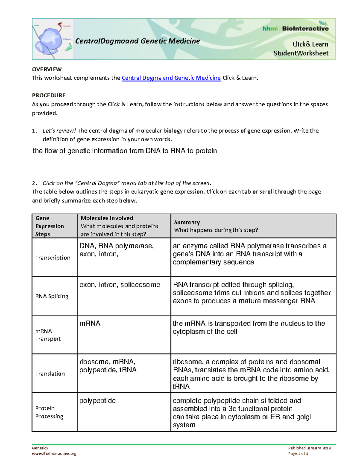 Student Worksheet (central Dogma and medicine) - Click & Learn Student ...