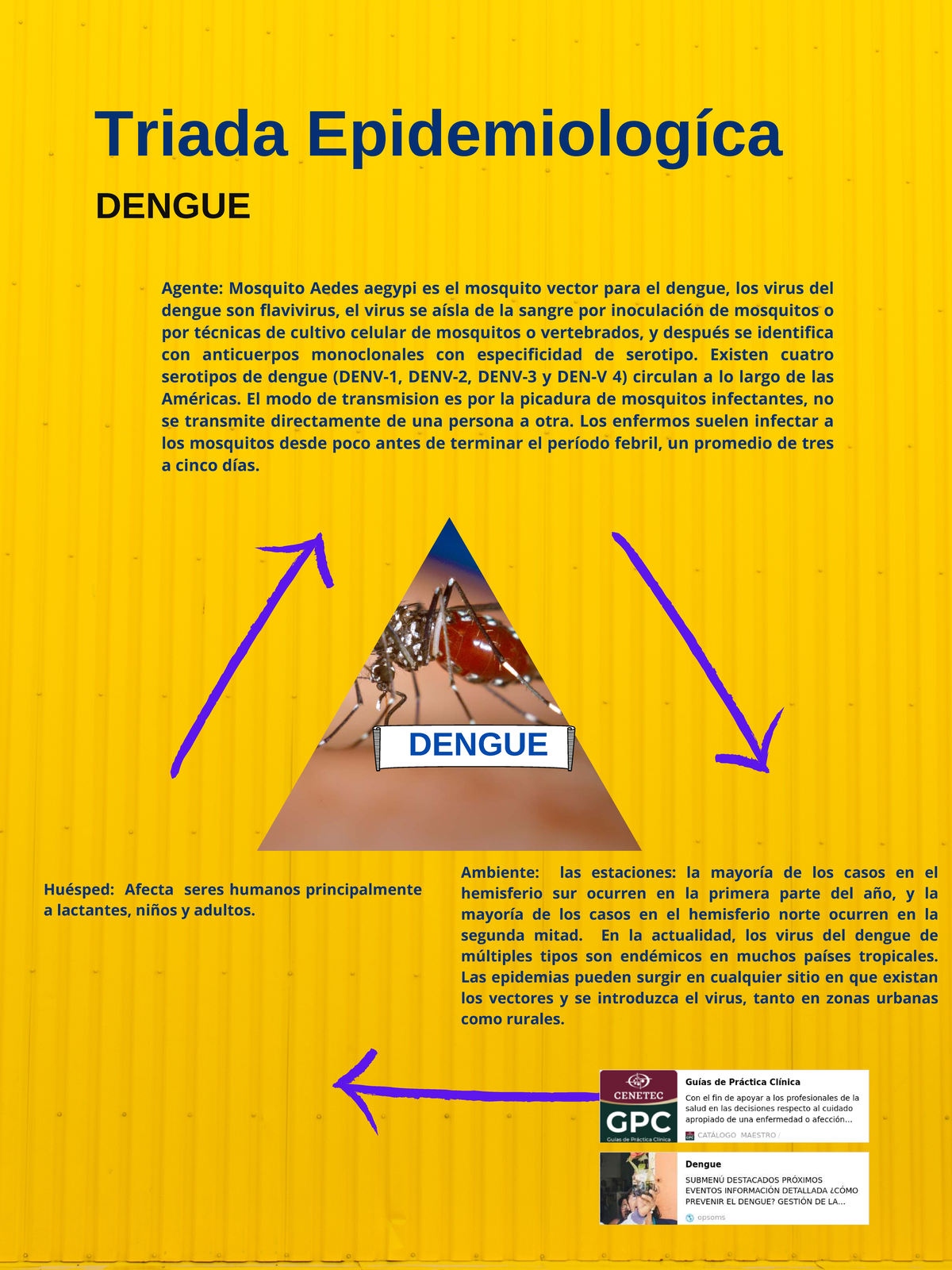 Triada Epidemiológica del Dengue: Agente, Huésped y Ambiente - Studocu