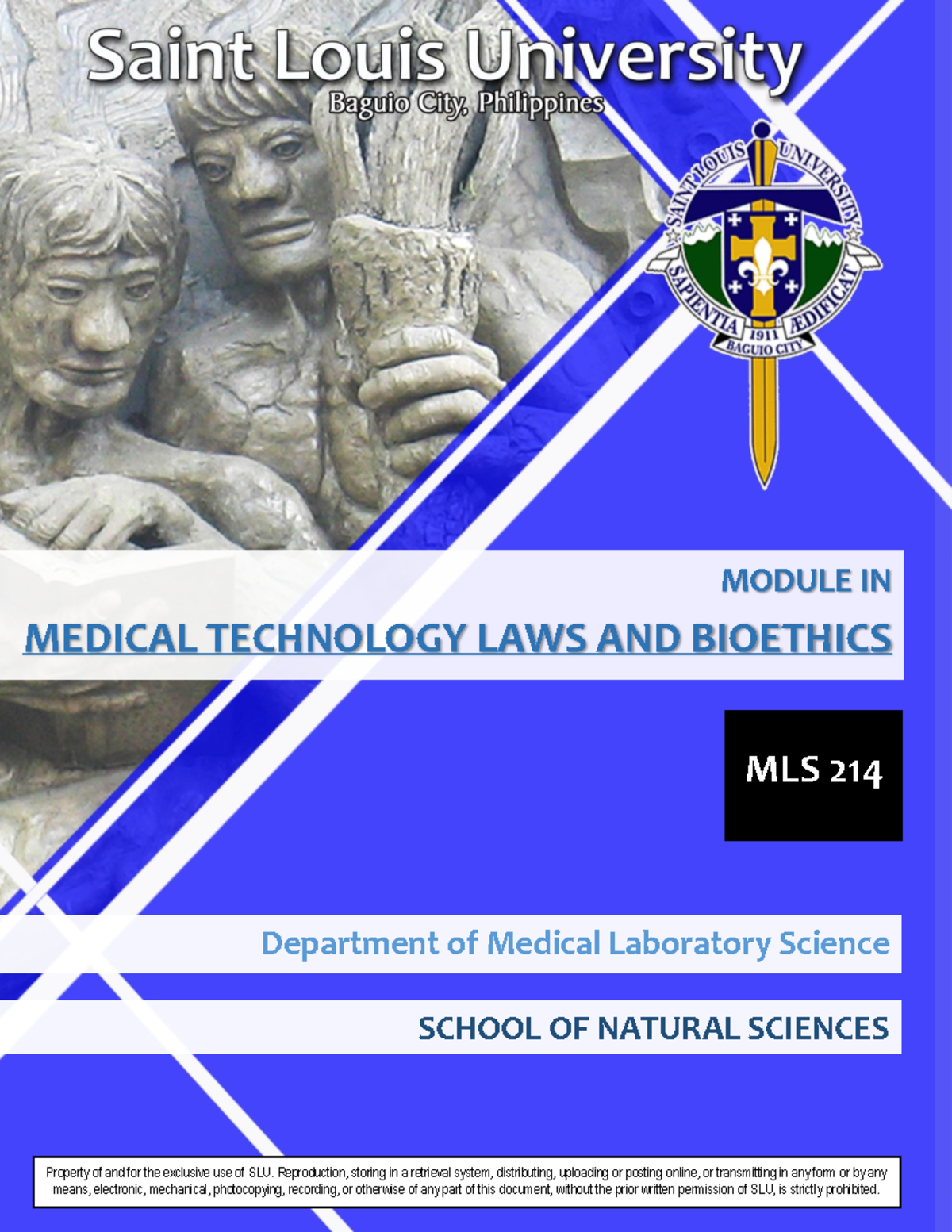 Policies and Guidelines for BSMT/MLS Education in the Philippines - MLS ...