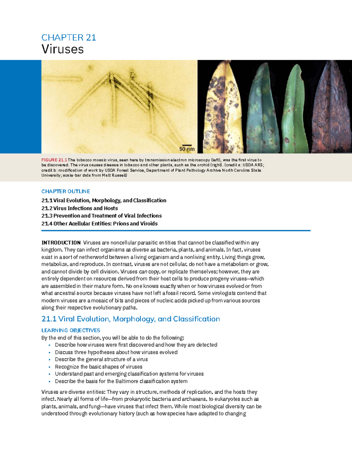 CHAPTER 21: Viruses - Evolution, Classification, and Infections - Studocu