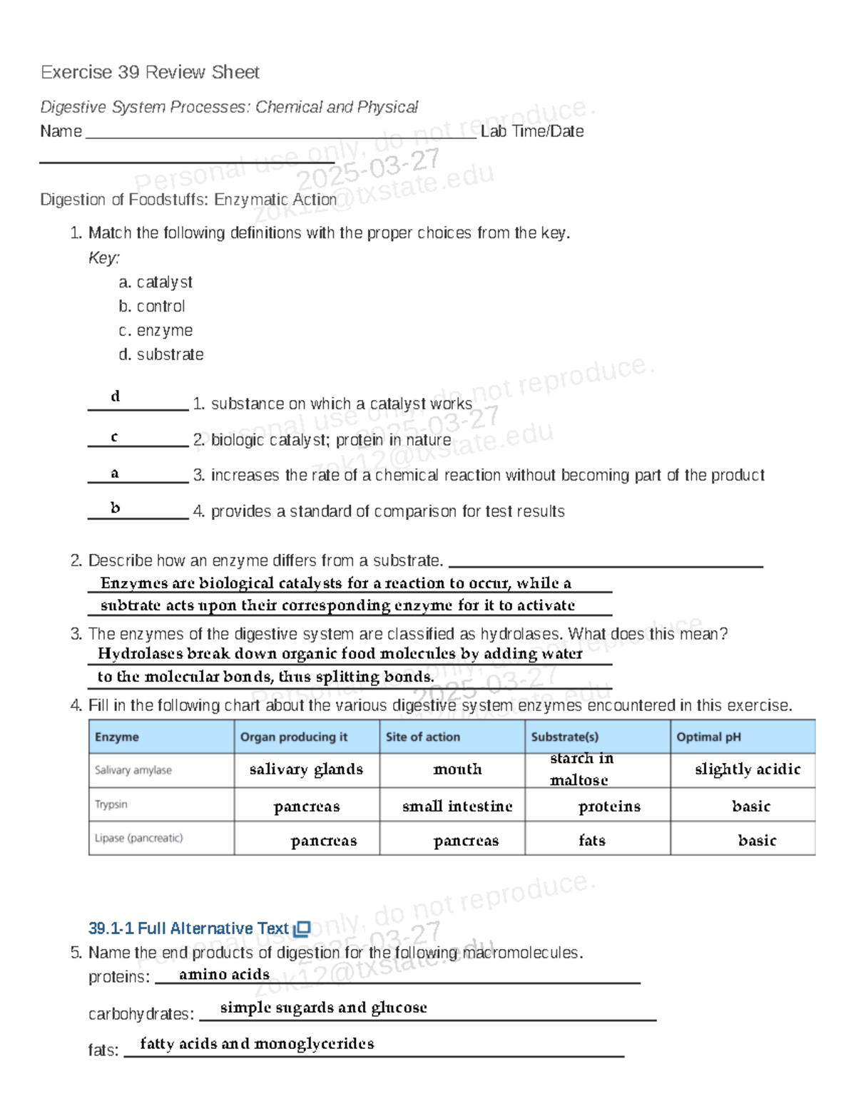 Digestive System Lab Review Sheet: Exercises 39, Pre-labs 27 & 28 - Studocu
