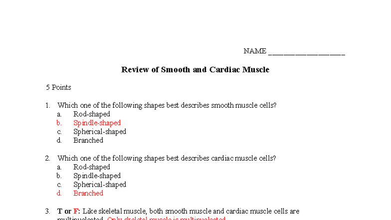 Muscle Tissue Overview (Physiology): Smooth and Cardiac Functions - Studocu