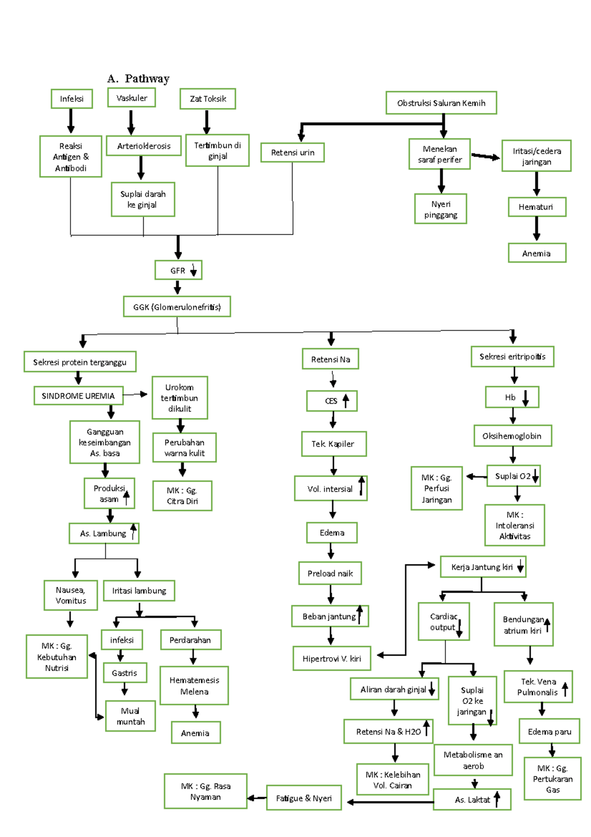 Pathway to Understanding Kidney and Cardiac Syndromes (MK: Gg.) - Studocu
