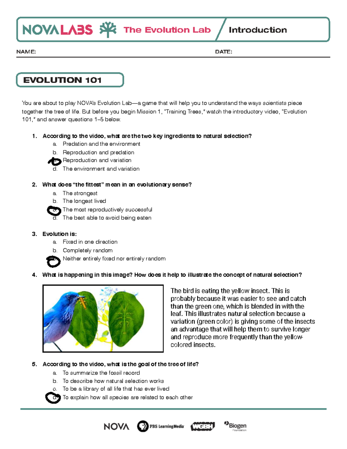Nova Evolution Lab: Evolution 101 & Missions 1-6 Overview - Studocu