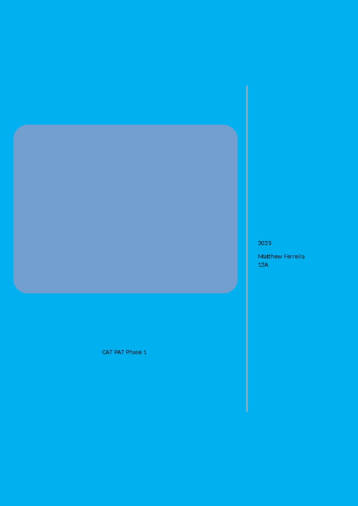 CAT PAT Phase 1 Survey Template 2023: Key Questions & Methods - Studocu