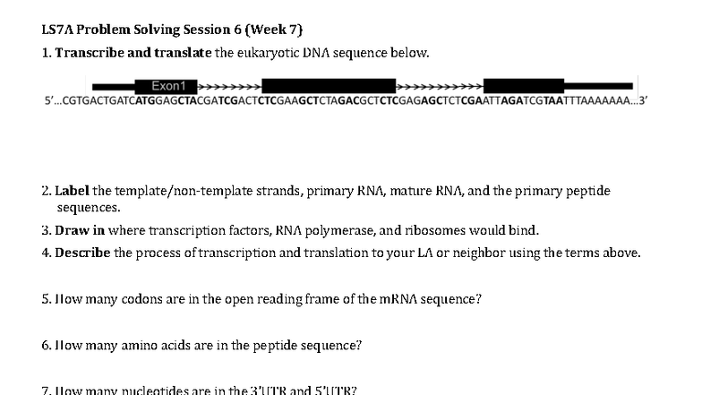 LS7A Problem Solving Session 6: Eukaryotic DNA Transcription ...