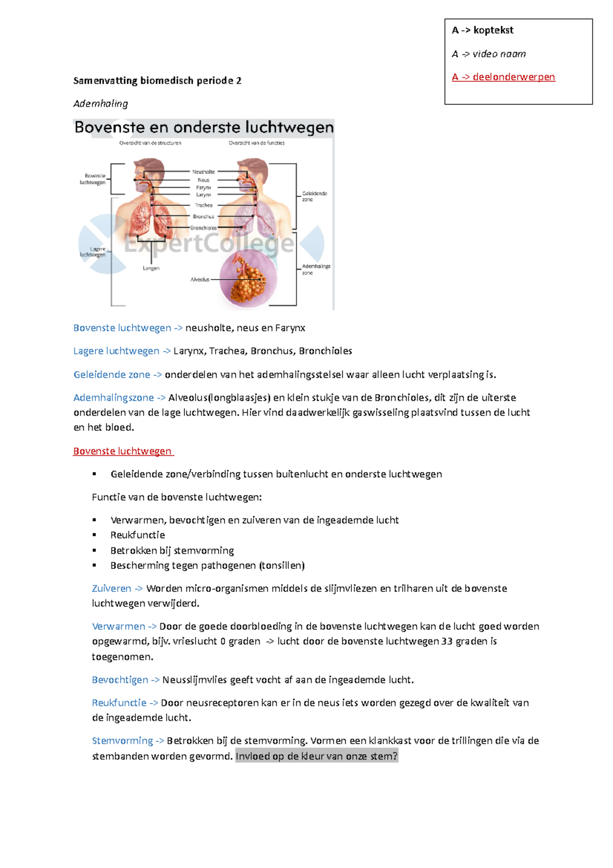 Biomedische Samenvatting - Luchtwegen (Periode 2) - Studeersnel