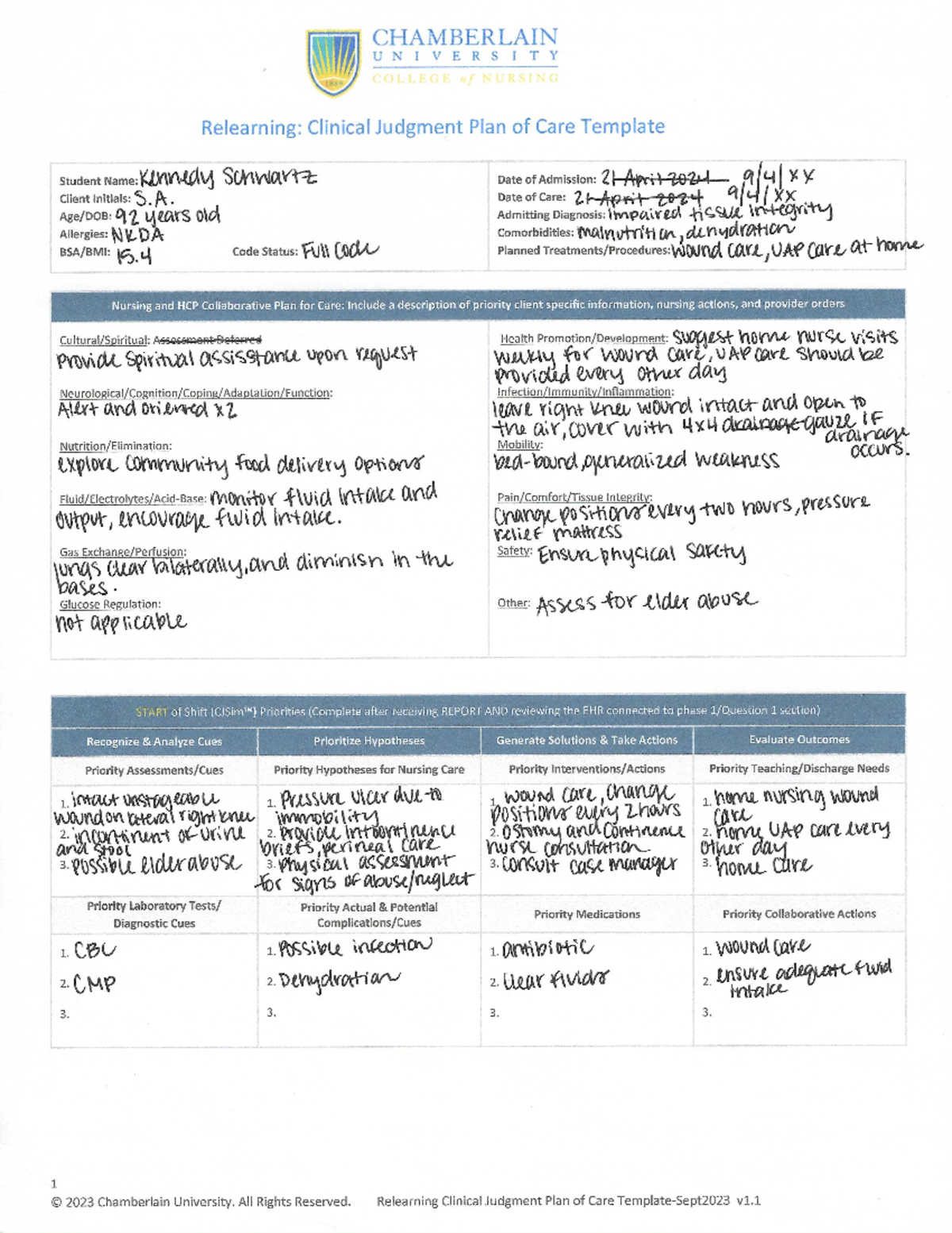 NR304 - Comprehensive Clinical Judgment Plan of Care Template 2023 ...