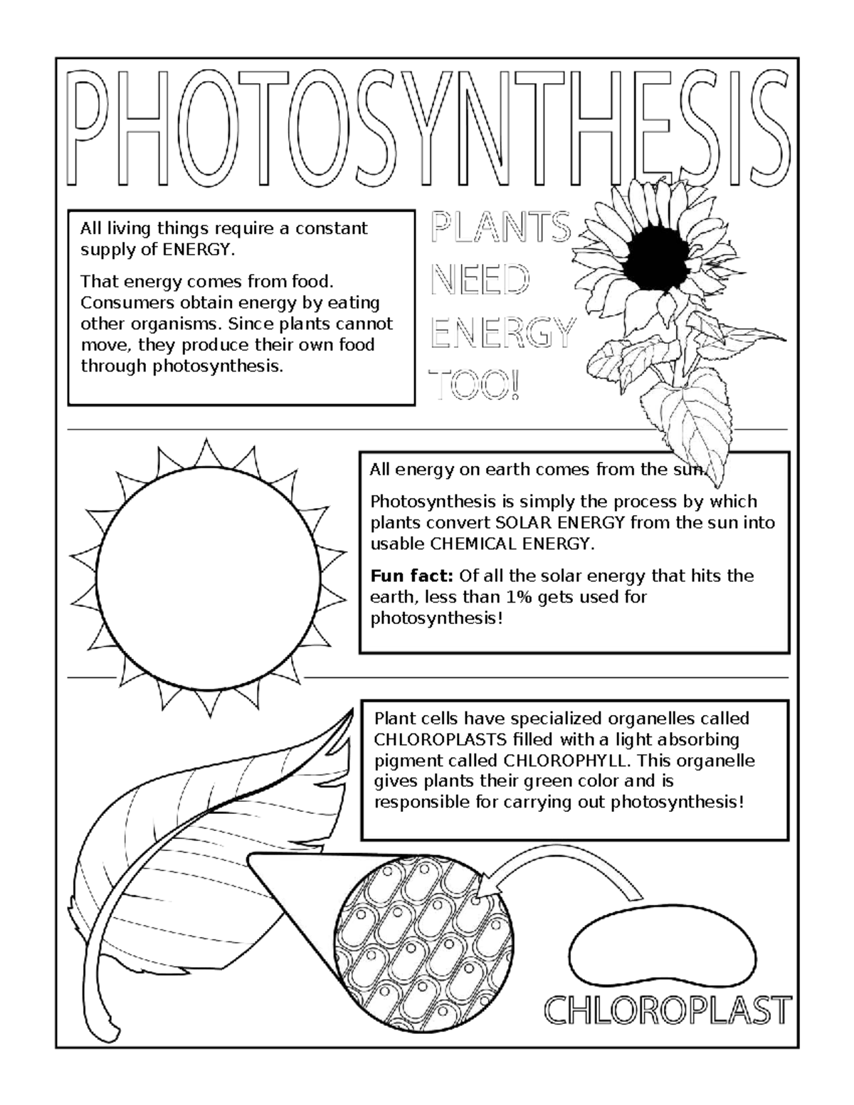 Print Photosynthesis Color Notes-1: Energy & Chloroplasts Explained ...