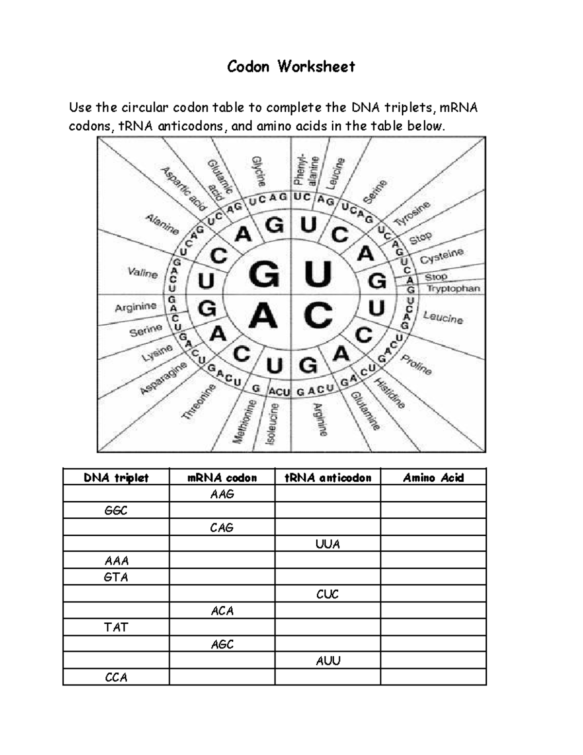 Codon Worksheet - Codon Worksheet Use the circular codon table to complete the DNA triplets ...