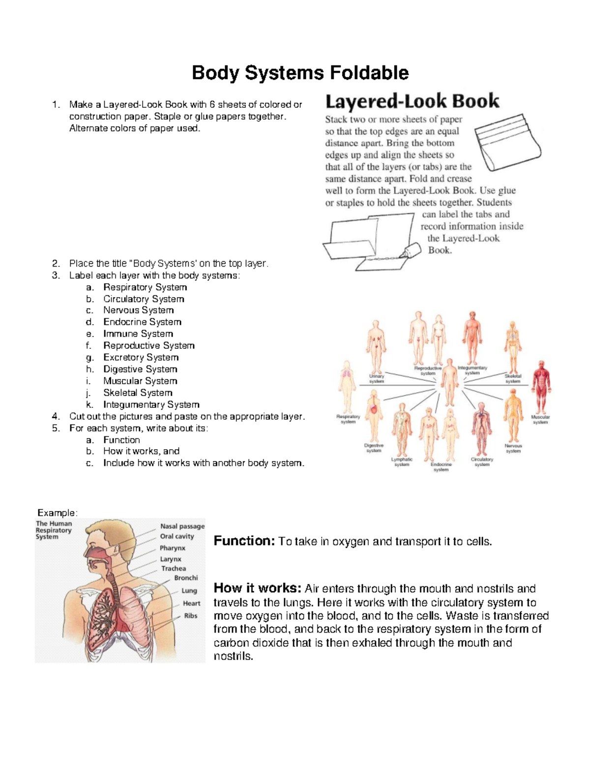 Body Systems Foldable Project: Exploring 11 Key Systems - Studocu