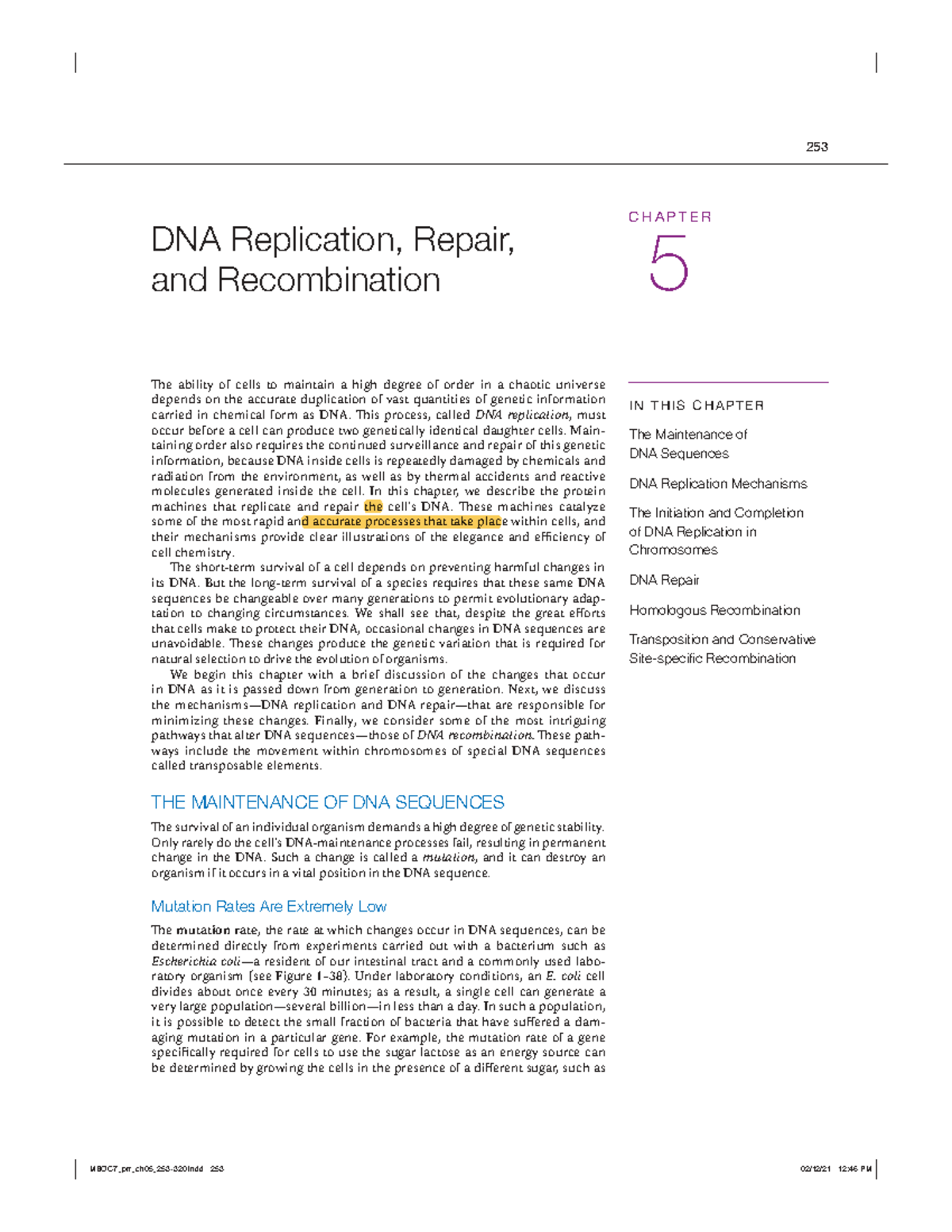 253 DNA Replication, Repair, and Recombination: Molecular Biology ...