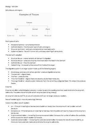 GCSE Biology Revision Notes - B2 - Organisation - Aug 2019 - Topic 2 ...