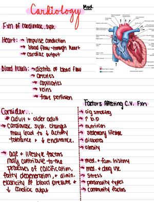 Olivia Jones V-sim Documentation - Maternity Case 1: Olivia Jones (Core ...