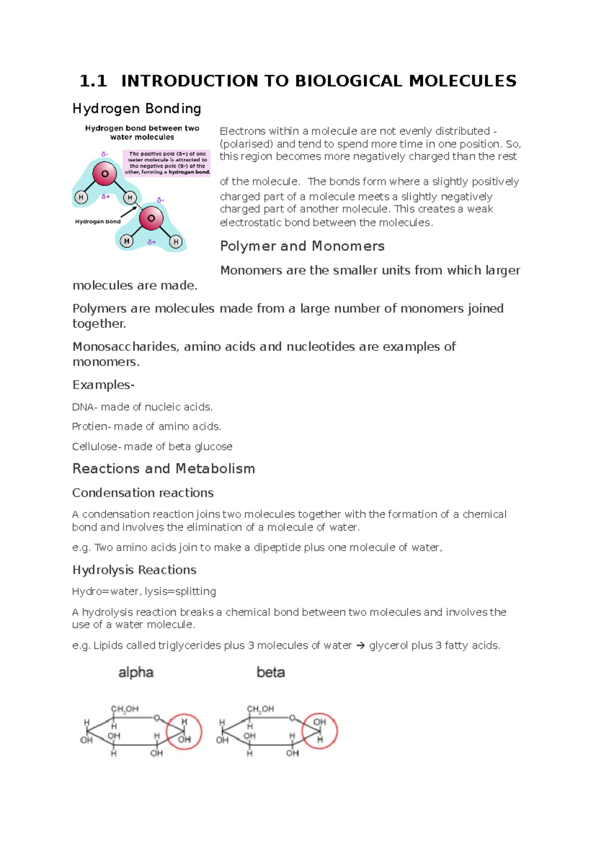 1.1 Introduction TO Biological Molecules - 1 INTRODUCTION TO BIOLOGICAL ...