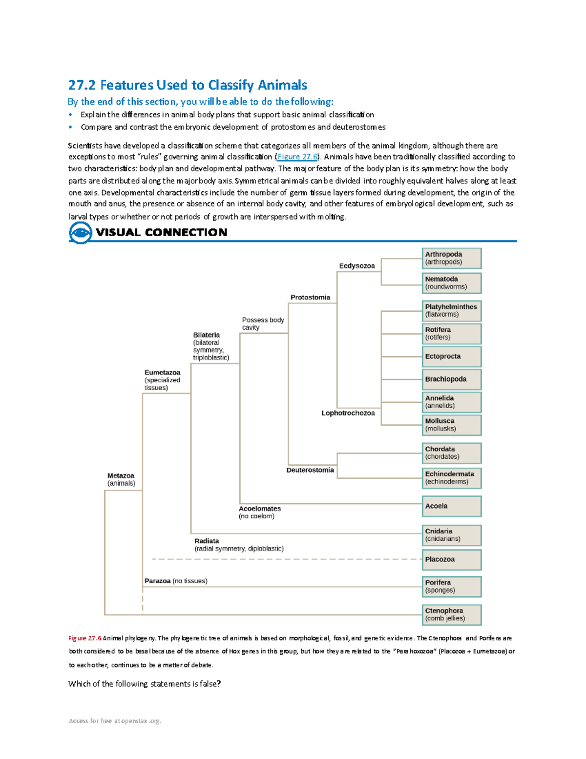 Animal Classification and Embryonic Development: Coelom Insights ...