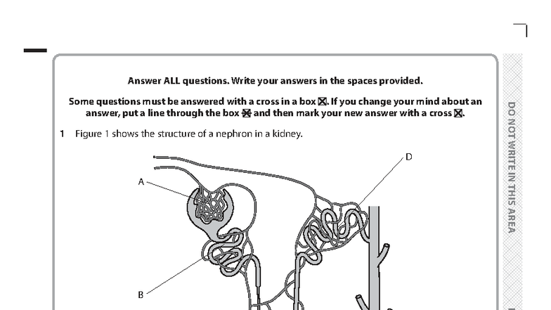 Kidneys Question Part 3: Structure, Function, and Regulation of ...