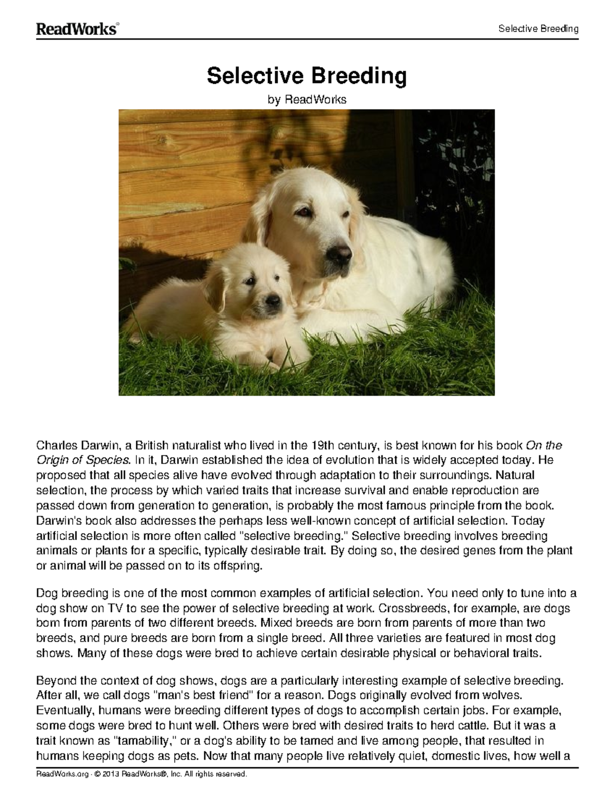 Dan Gnip - Selective Breeding Reading and Quiz 4 10 - Selective ...