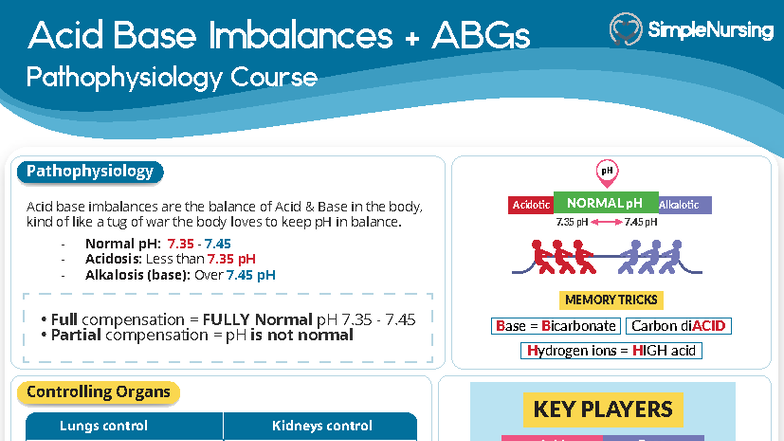 Acid-Base Imbalances: ABGs & Pathophysiology Insights - Studocu