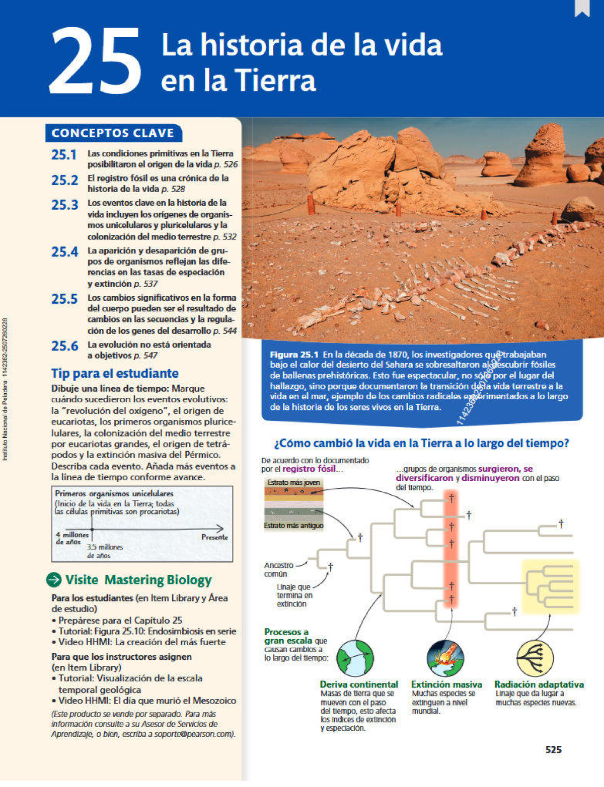 Capítulo 25: La Historia de la Vida en la Tierra - Conceptos Clave y ...