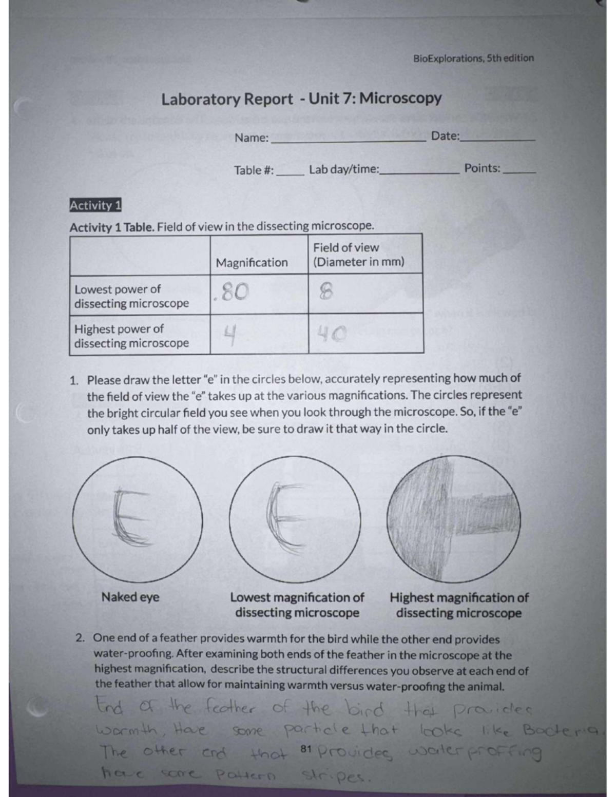 BioExplorations Lab Report Unit 7: Microscopy Analysis - Studocu