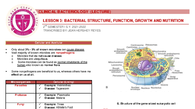 CLINICAL BACTERIOLOGY (LECTURE) LESSON 3: BACTERIAL STRUCTURE AND GROWTH - Studocu