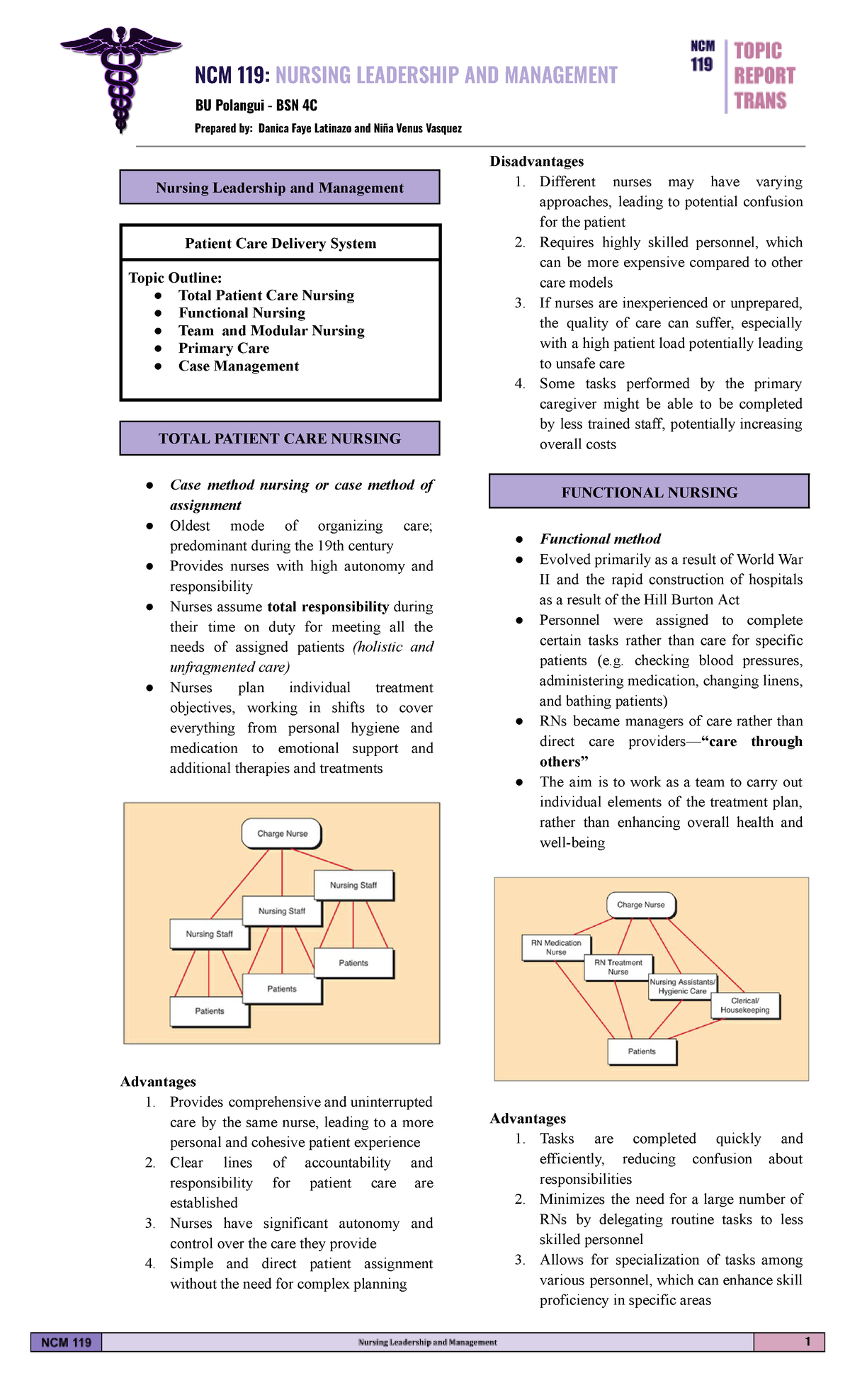 NCM 119: Patient Care Delivery Models in Nursing Leadership ...