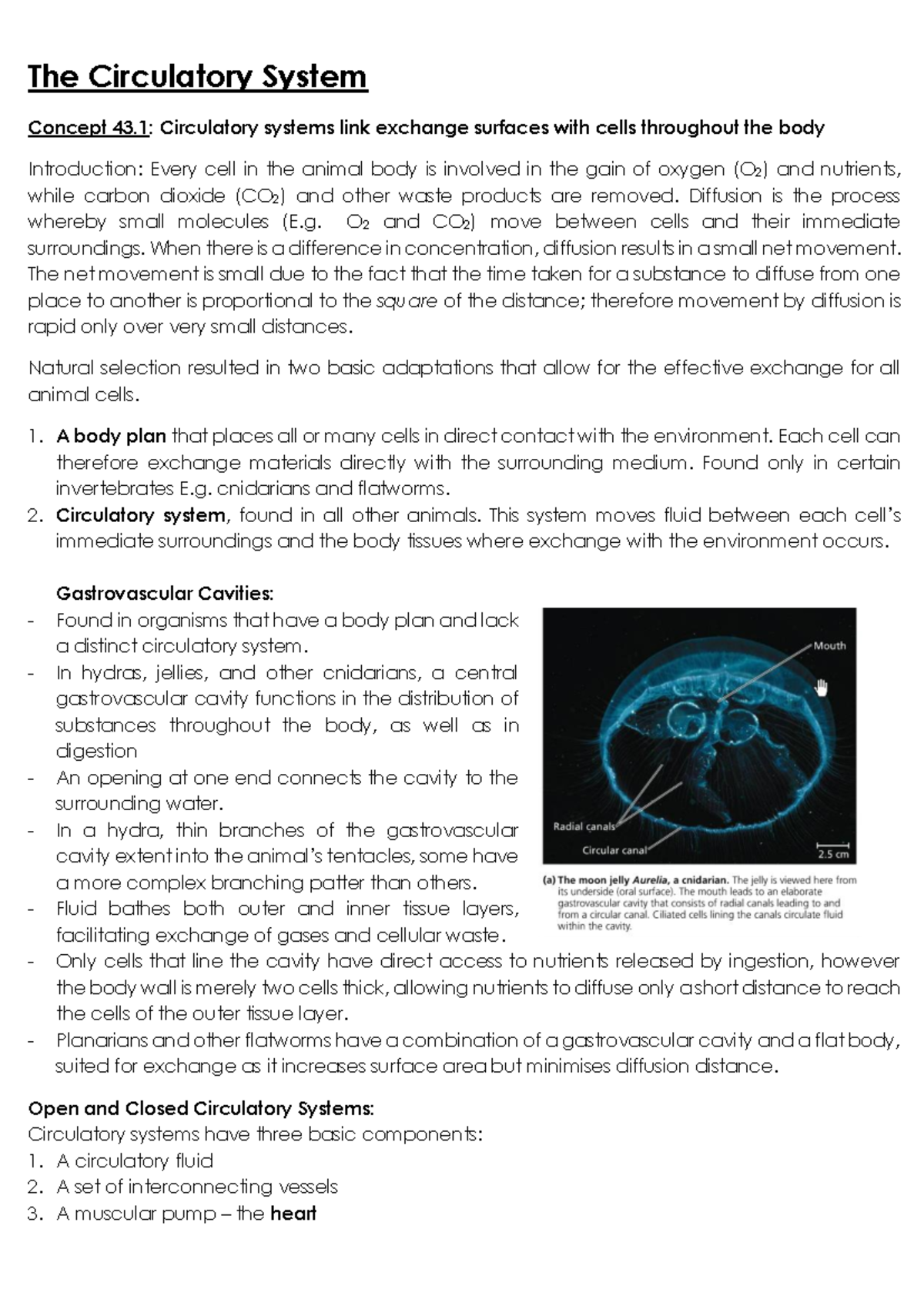 Cardiovascular System Overview: Circulatory Functions and Adaptations ...