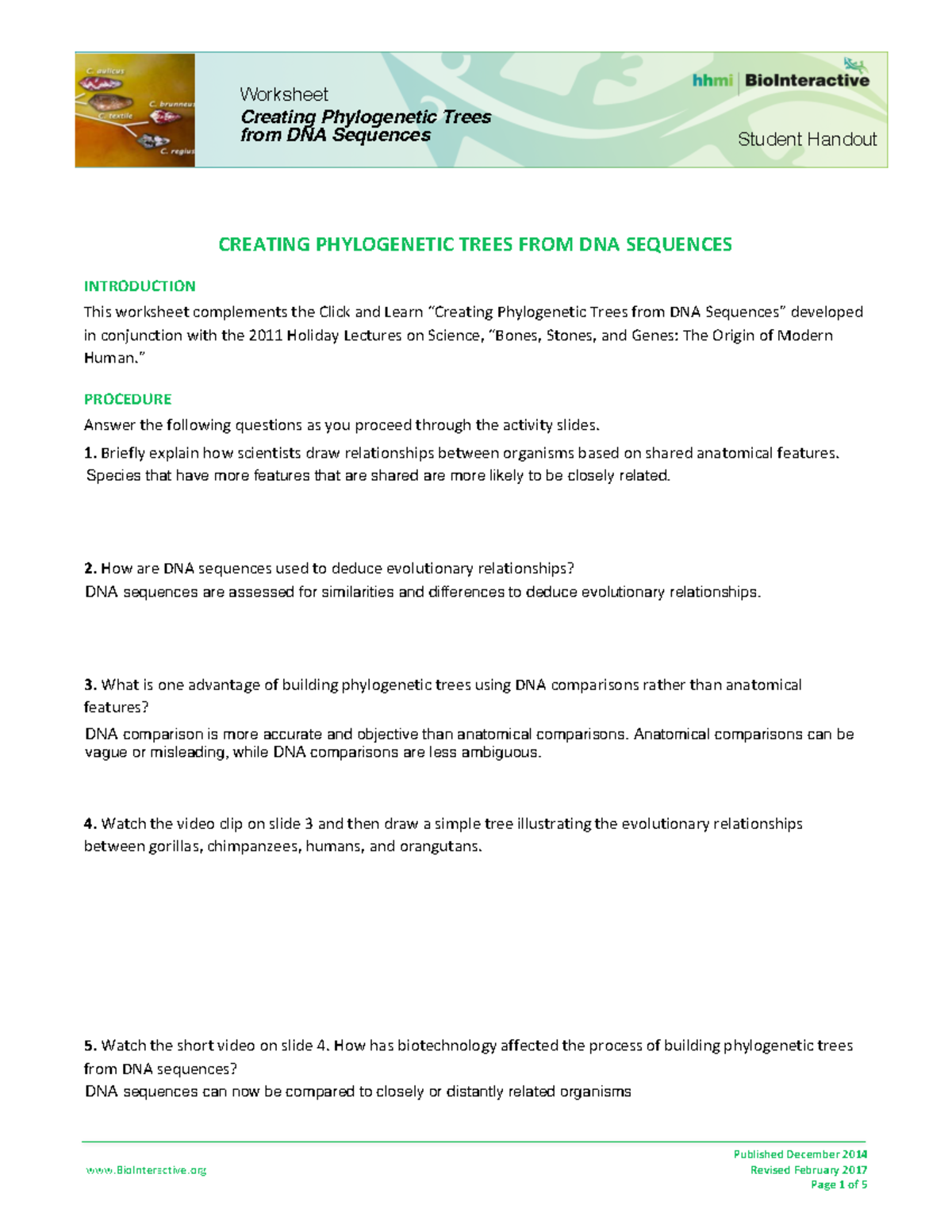 Creating Phylogenetic Trees from DNA Sequences - Worksheet - Studocu