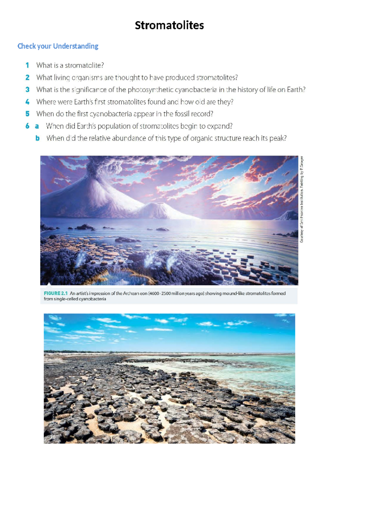 Stromatolites Check Your Understanding - Studocu