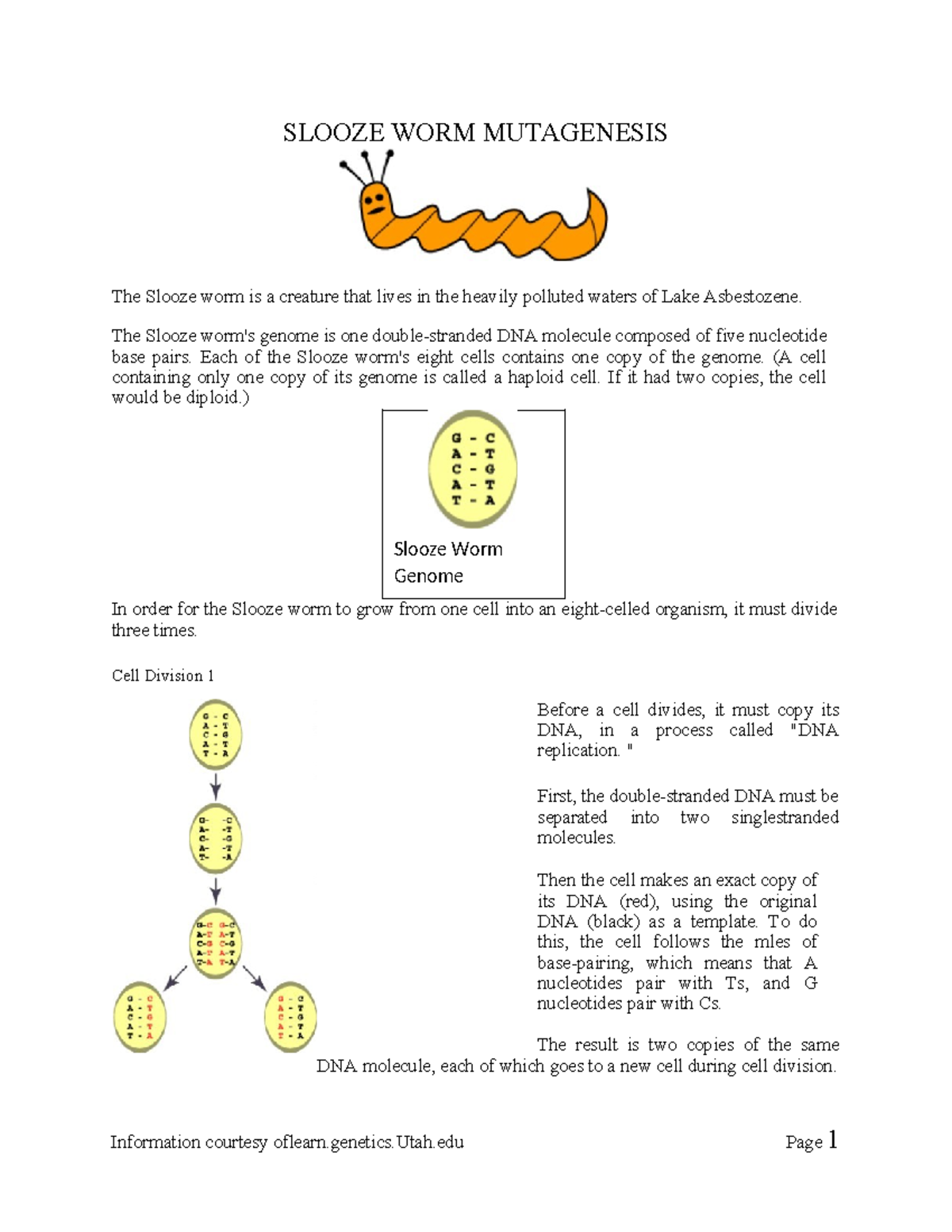 Slooze-worm-mutagenesis-Copy 3 - SLOOZE WORM MUTAGENESIS The Slooze ...